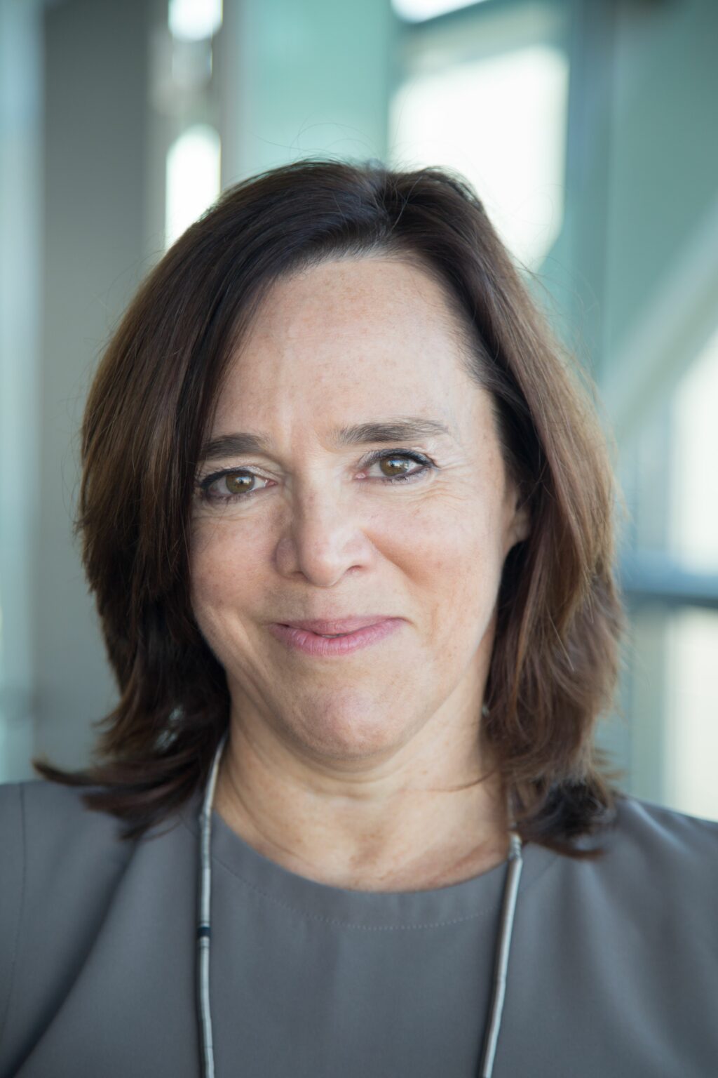 Educating for American Democracy: More Important Than Ever ...